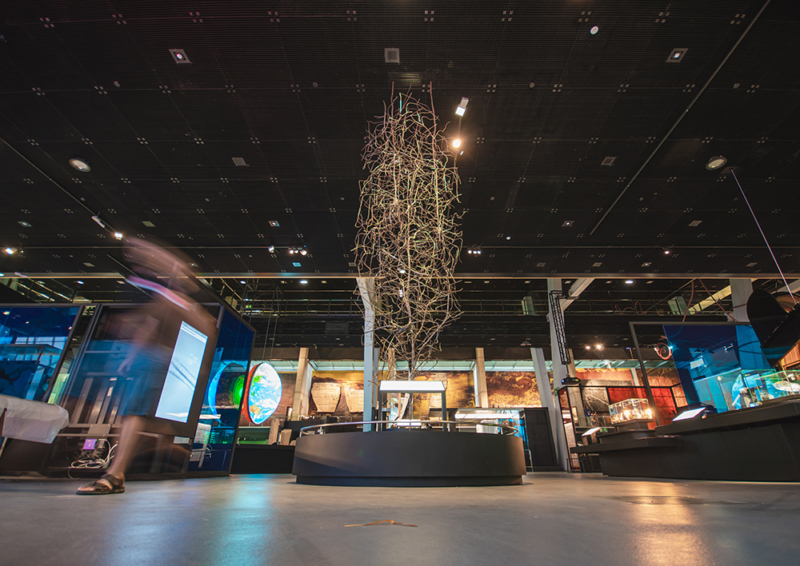 Universo Cosmocaixa | Expomon