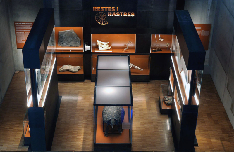 Restos y Rastros CosmoCaixa | Expomon